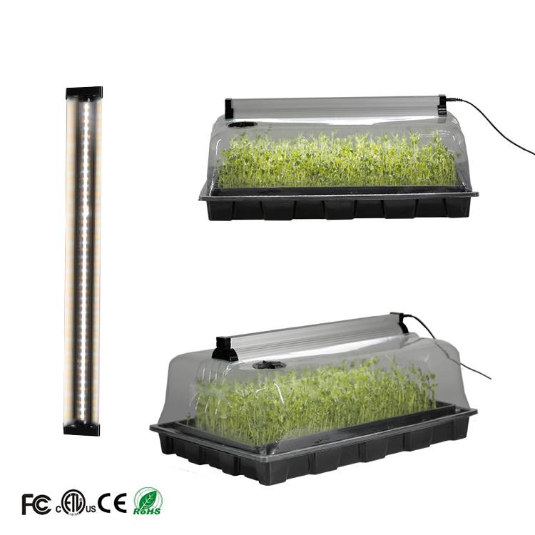 Mini Greenhouse Propogation Grow Dome Kit