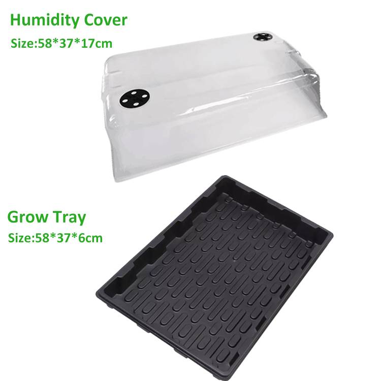 Mini Greenhouse Propogation Grow Dome Kit